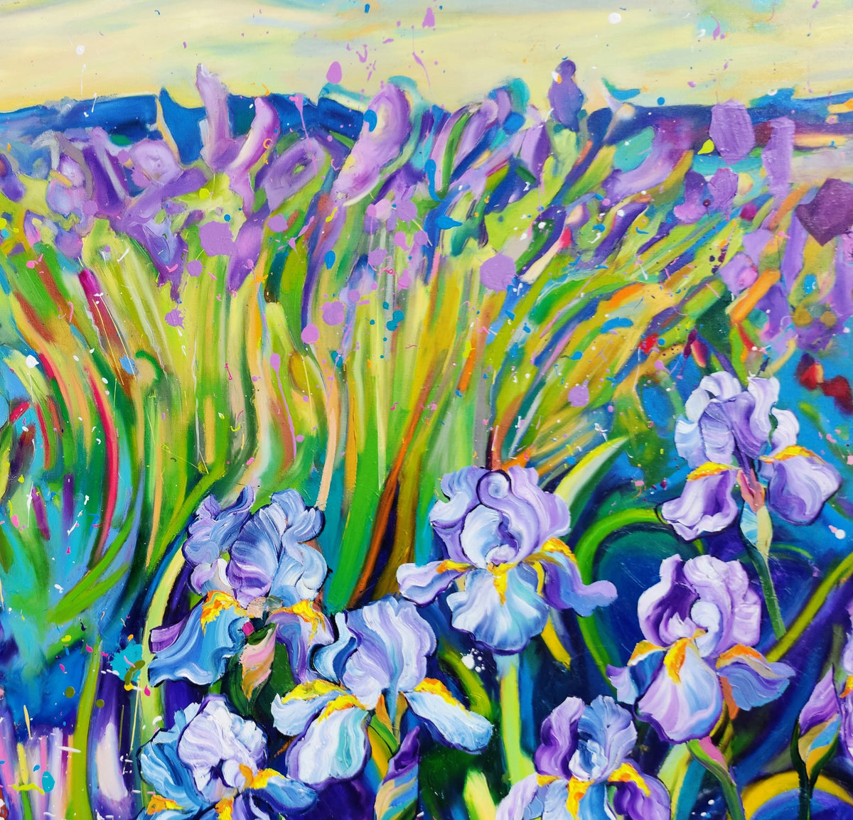 Iris Fields 2025 – Angie Wright Art
